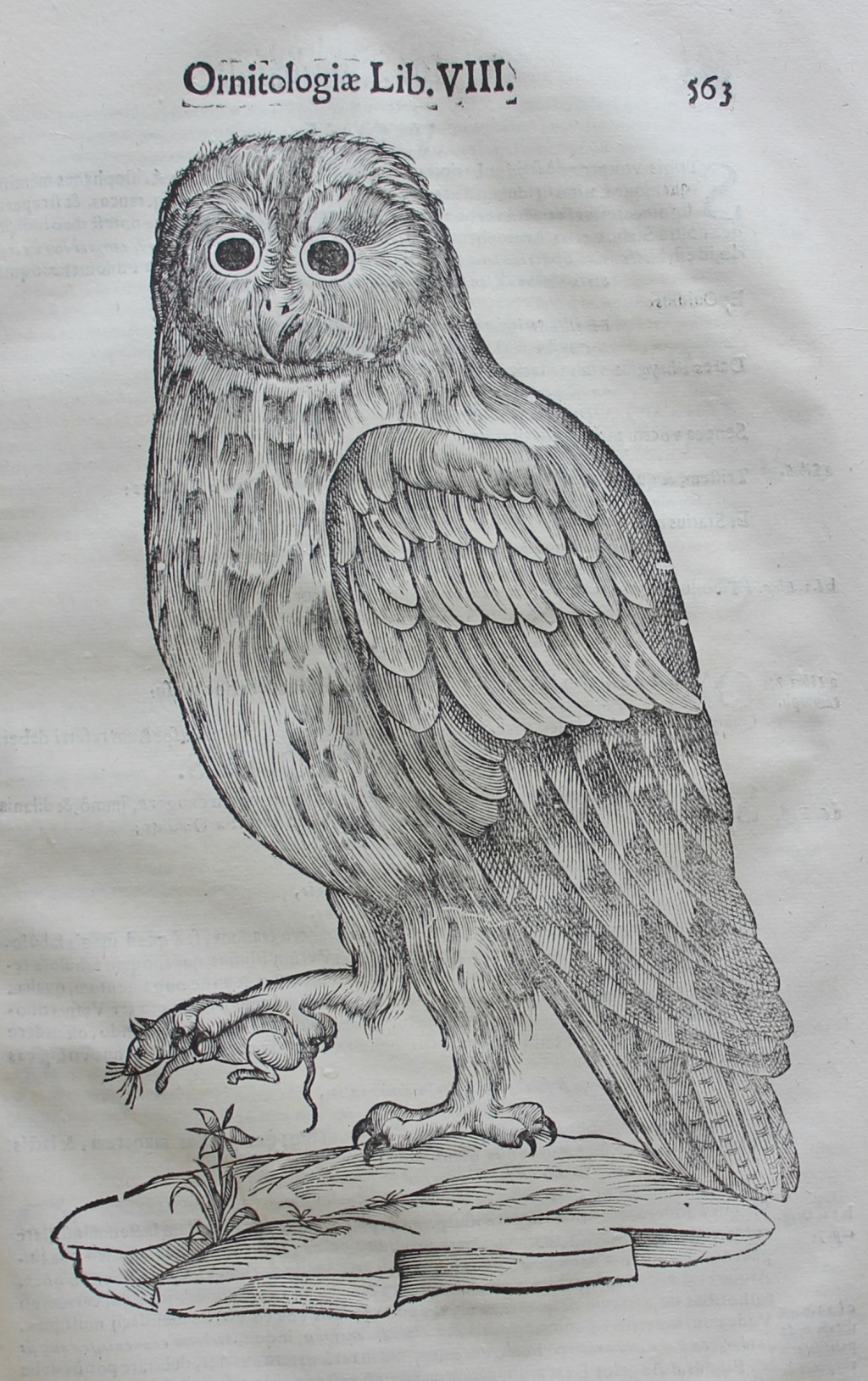 Contact Us – aldrovandi.edwardworthlibrary.ie