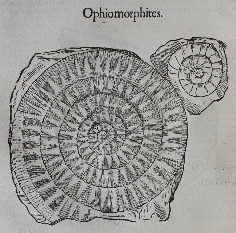 Geology – aldrovandi.edwardworthlibrary.ie